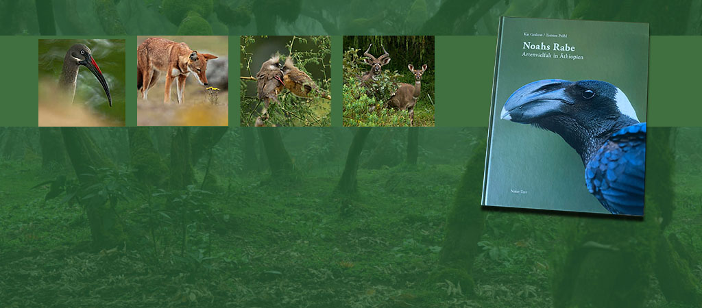 Herzlich willkommen bei Naturschutzbedarf Strobel – Fachhandel